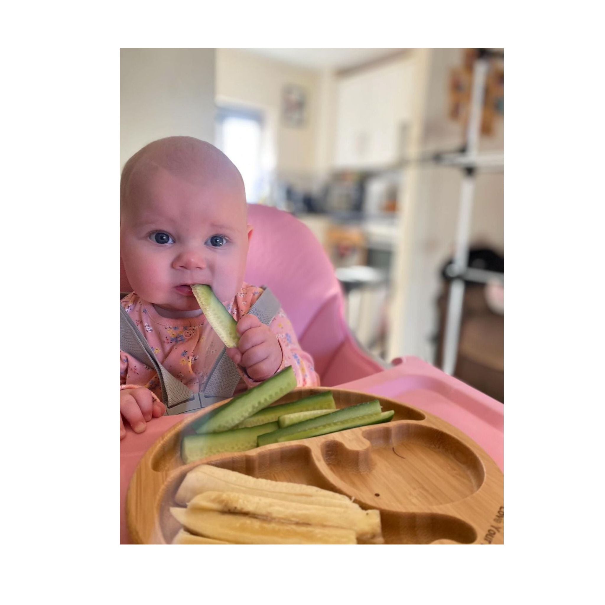The Wonders of Bamboo: Why Bamboo Baby Products Are a Must-Have for Ec ...