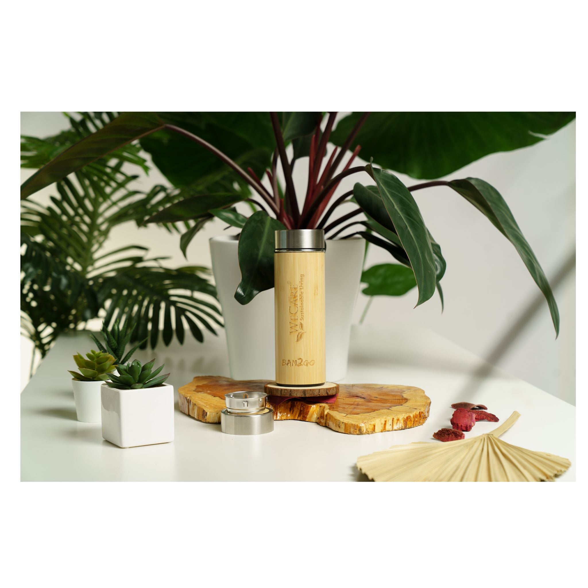 Bamboo Bliss: A Guide to Caring for Your Eco-Friendly Treasures – Love ...